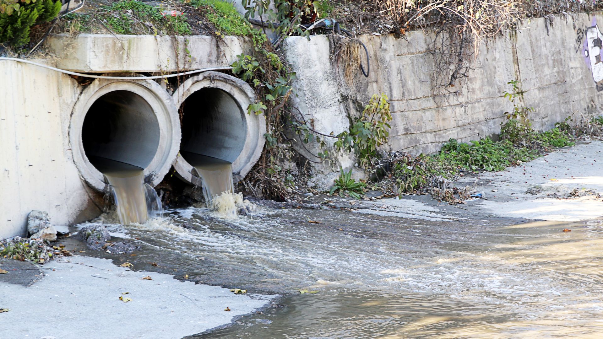 Tips and Solutions for Handling Sewage Backup in North Hollywood ...